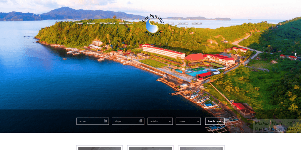 Portfolio - Carlo Dimaandal | Batangas Web Designer